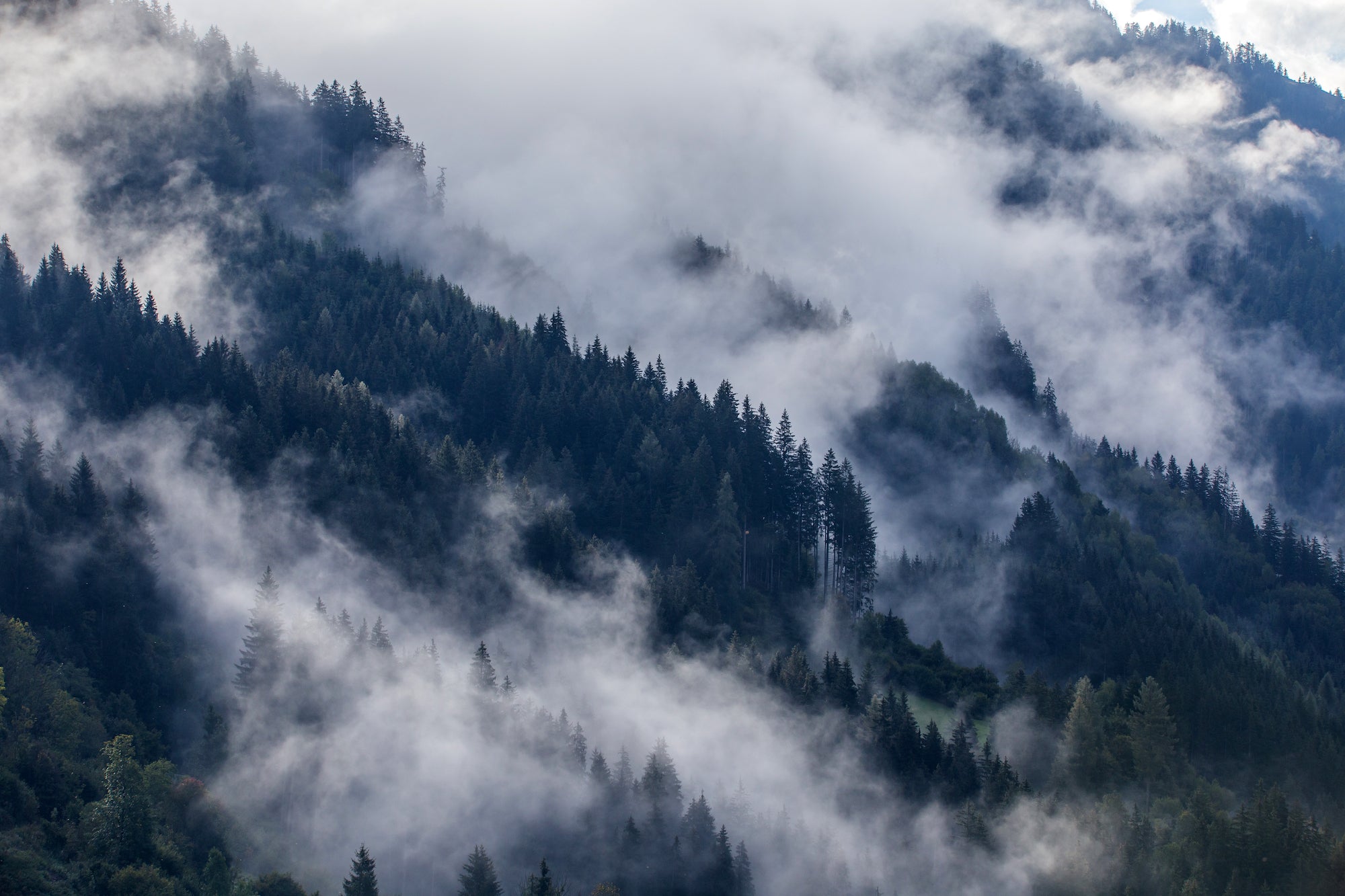 Wallets for Men | Personalized Wallet | RFID Leather Wallet | Money ...